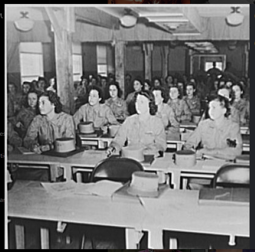 WW1 Army Nurse: An Ordinary Woman - Angela L. Todd